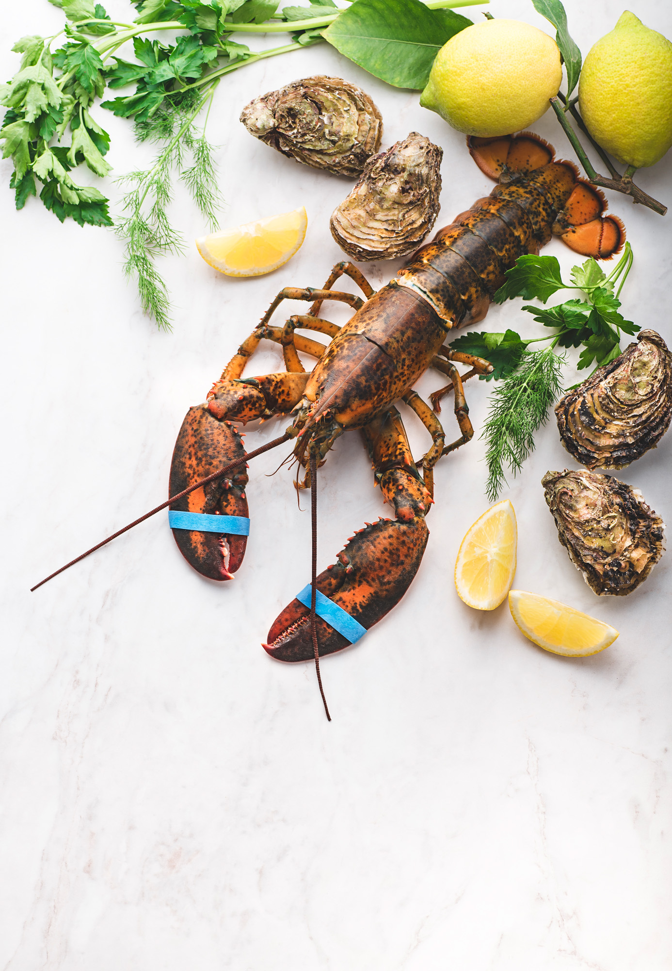 Brochure | HPP Supporting Seafood | Quintus Technologies